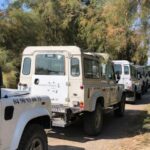 From Arles: Half-Day 4x4 Camargue Safari - What We Love About This Tour