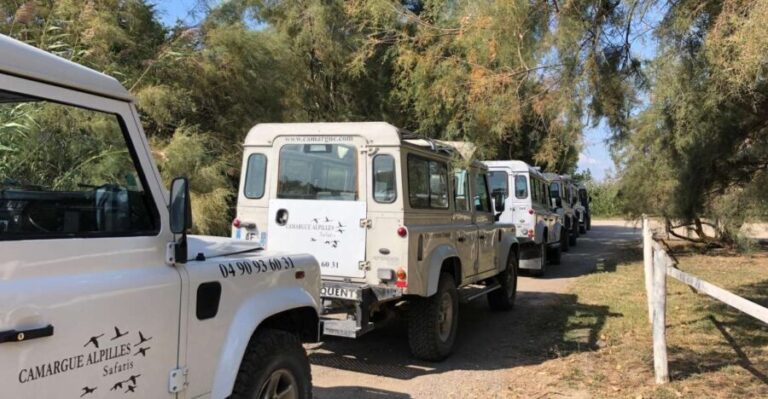 From Arles: Half-Day 4x4 Camargue Safari - What We Love About This Tour
