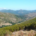 From Arzana: trekking to Punta La Marmora with aperitif - An In-depth Look at the Trekking Experience