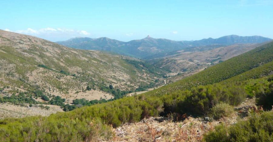 From Arzana: trekking to Punta La Marmora with aperitif - An In-depth Look at the Trekking Experience