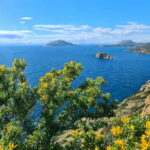 From Athens: Temple of Poseidon & Cape Sounion Half-Day Tour - A Thorough Look at the Experience