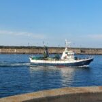 From Aveiro: Costa Nova, Barra, Vista Alegre - Half-Day Trip - The First Stop: Aveiro Lagoon and Salt Flats