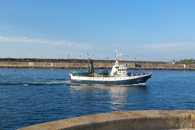 From Aveiro: Costa Nova, Barra, Vista Alegre - Half-Day Trip - The First Stop: Aveiro Lagoon and Salt Flats