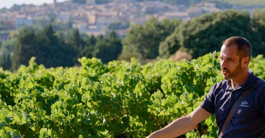 From Avignon: Châteauneuf du Pape Half-Day Wine Tour - The Scenic Drive & Historical Stop