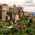 From Avignon: Full-Day Best of Provence Tour - Genuine Feedback from Travelers