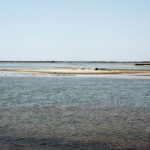 From Avignon: Half-Day Camargue and Saintes-Maries-de-la-Mer - Real-World Insights from Travelers