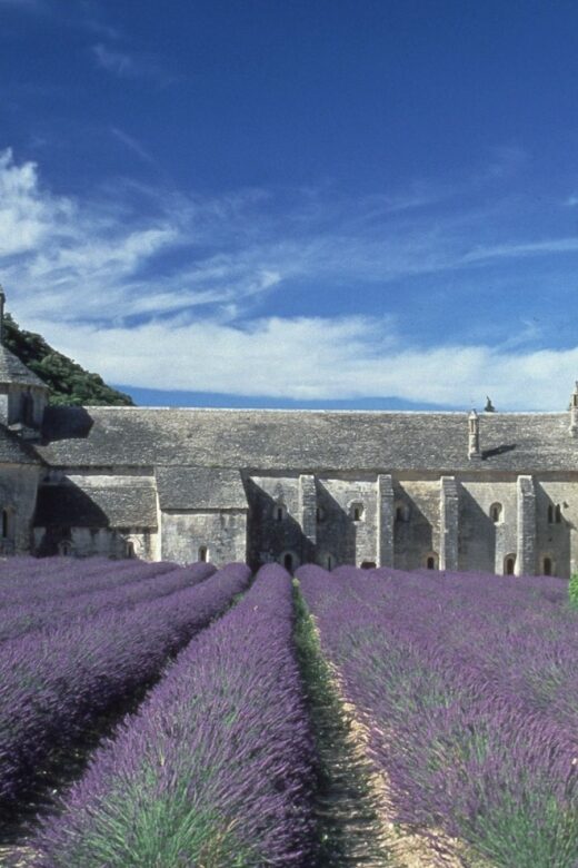 From Avignon: Half-Day Hilltop Villages of Luberon - Exploring Key Stops