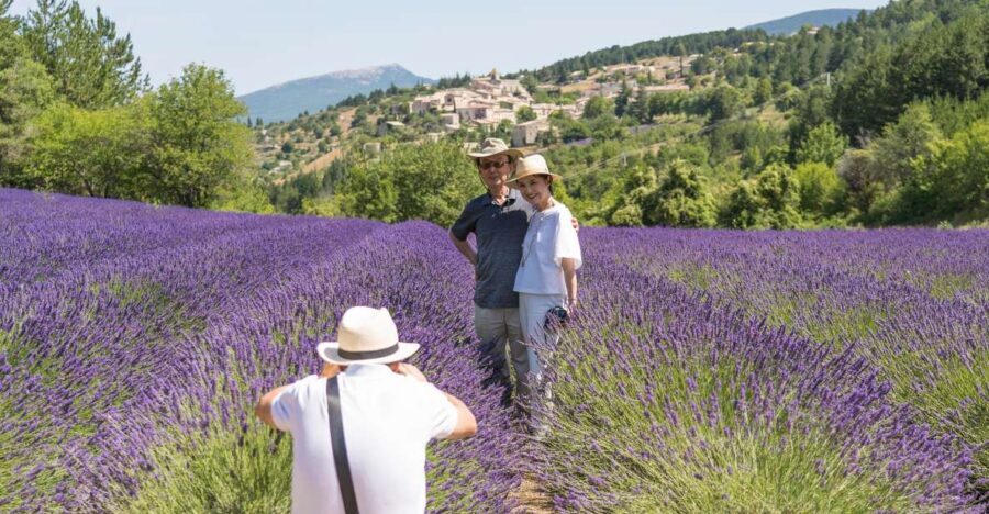 From Avignon: Half-Day Lavender Tour of Luberon - Who Should Consider This Tour?