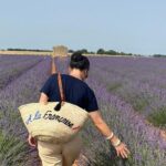 From Avignon: Lavender Villages Full-Day Tour - What Makes This Tour Special
