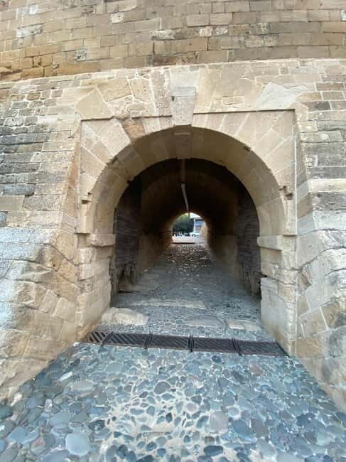 From Ayia Napa, Limassol, Larnaca: Private Tour to Nicosia - Deconstructing the Cost and Value