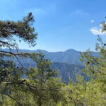 From Ayia Napa, Limassol: Troodos Mountains Private Day Trip - Whats Included and What to Know
