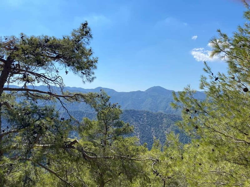 From Ayia Napa, Limassol: Troodos Mountains Private Day Trip - Whats Included and What to Know