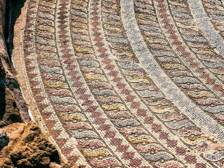 From Ayia Napa/Protaras/Larnaca: Paphos & Kourion in Italian - Practical Considerations: What to Expect and How to Prepare