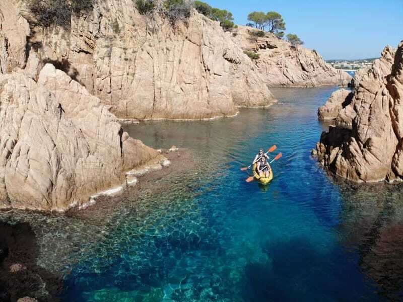 From Barcelona: Costa Brava Private Tour with Lunch - Analyzing Value and Suitability