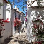 From Barcelona: Costa Brava Typical Towns full day tour - Areas to Consider