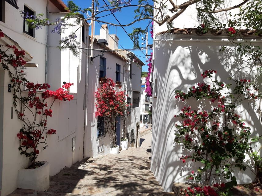 From Barcelona: Costa Brava Typical Towns full day tour - Areas to Consider