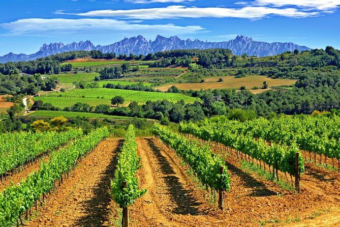 From Barcelona: El Penedès Hike & Wines - The Itinerary Unpacked
