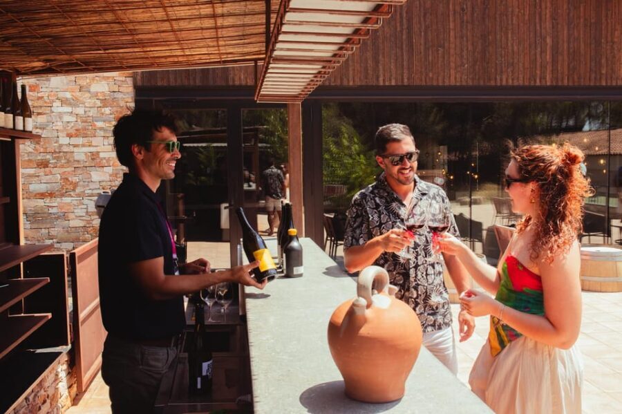From Barcelona: Full-Day Montserrat & Wine Small Group Tour - Practical Tips for Making the Most of the Tour