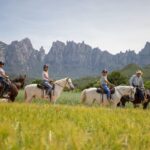 From Barcelona: Half-Day Montserrat & Horse Riding Tour - Visiting the Montserrat Monastery