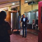 From Barcelona: Priorat's Exclusive Cellars, Wines & Nature - Visiting the Wineries: What to Expect