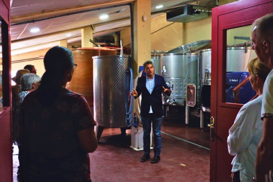From Barcelona: Priorat's Exclusive Cellars, Wines & Nature - Visiting the Wineries: What to Expect