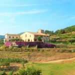 From Barcelona: Private Alella Wine Tour by Electric Bike - Practical Details and What to Expect