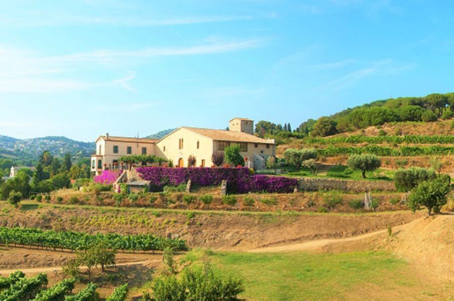 From Barcelona: Private Alella Wine Tour by Electric Bike - Practical Details and What to Expect
