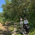From Barcelona: PRIVATE Horseback Ride + Tapas + Picnic - Detailed Breakdown of the Itinerary