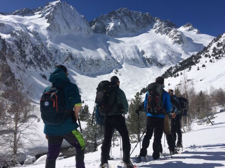 From Barcelona: Snowshoeing in the Pyrenees - What to Expect on the Day
