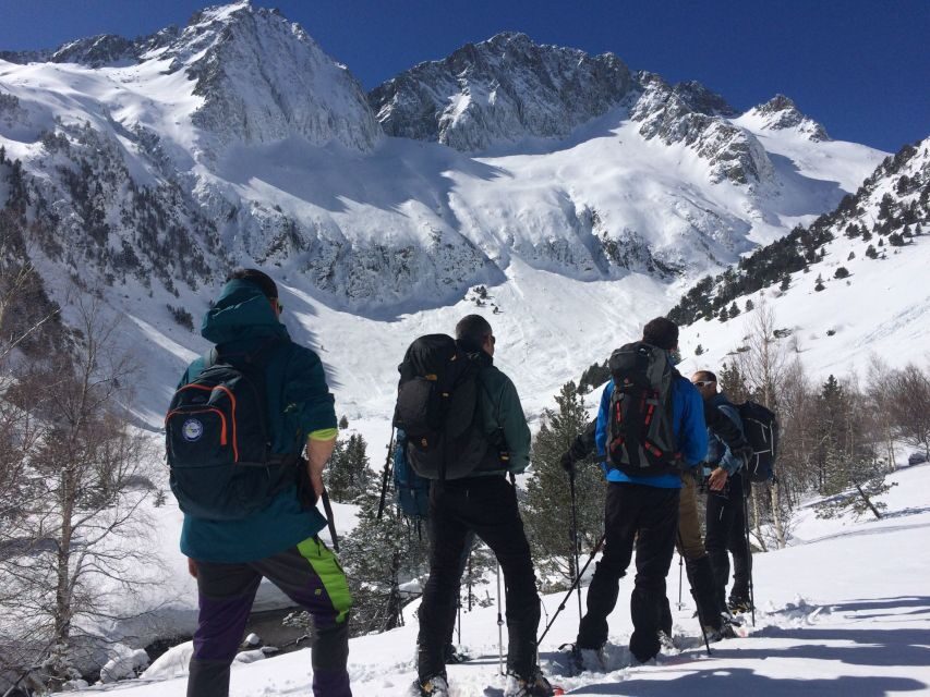 From Barcelona: Snowshoeing in the Pyrenees - What to Expect on the Day