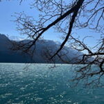 From Basel: Alps, Waterfalls and Lakes Private Tour - Transportation & Logistics