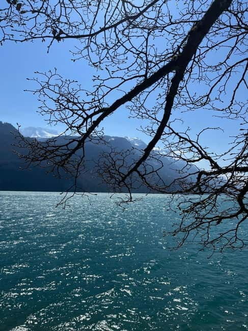 From Basel: Alps, Waterfalls and Lakes Private Tour - Transportation & Logistics
