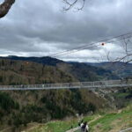 From Basel: Black Forest, Waterfall & Lakes Private Tour - What You’ll Discover on This Tour