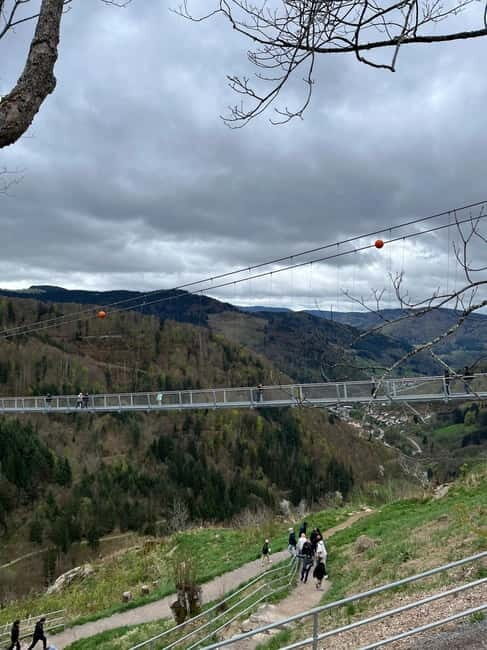 From Basel: Black Forest, Waterfall & Lakes Private Tour - What You’ll Discover on This Tour