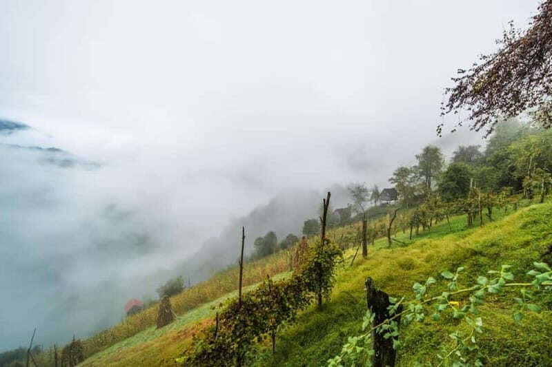 From Batumi: Songs & Flavors of Merisi Village - Practical Details and Value