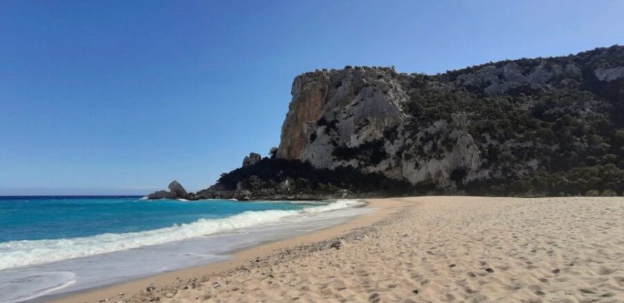 From Baunei: Cala Luna and Dorgali Full-Day Guided Trek - What the Reviews Say