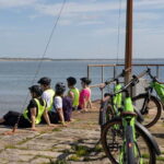 From Belfast: Electric Bike Experience - What Makes This Electric Bike Tour Stand Out?
