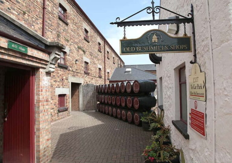 From Belfast: Private Giants Causeway Coastal Tour - The Experience and Practicalities