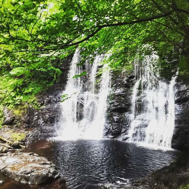From Belfast: Private Tour of the Glens & Giants Causeway - Introduction: A Personalised Adventure from Belfast