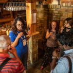 From Belgrade: Novi Sad & Sremski Karlovci Full-Day Tour - Sremski Karlovci: Baroque Charm and Historic Significance
