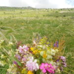 From Belgrade: Rtanj Mountain Hike Day Trip with Guide - The Journey: From Car to Summit