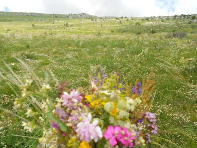 From Belgrade: Rtanj Mountain Hike Day Trip with Guide - The Journey: From Car to Summit