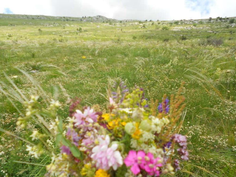 From Belgrade: Rtanj Mountain Hike Day Trip with Guide - The Journey: From Car to Summit