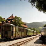 From Belgrade: Sargan 8 Railway and Wooden City 1 Day Tour - Practical Details and What You Should Know