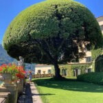 From Bellagio: Lake Como Cruise and Villa Balbianello Tour - Key Points
