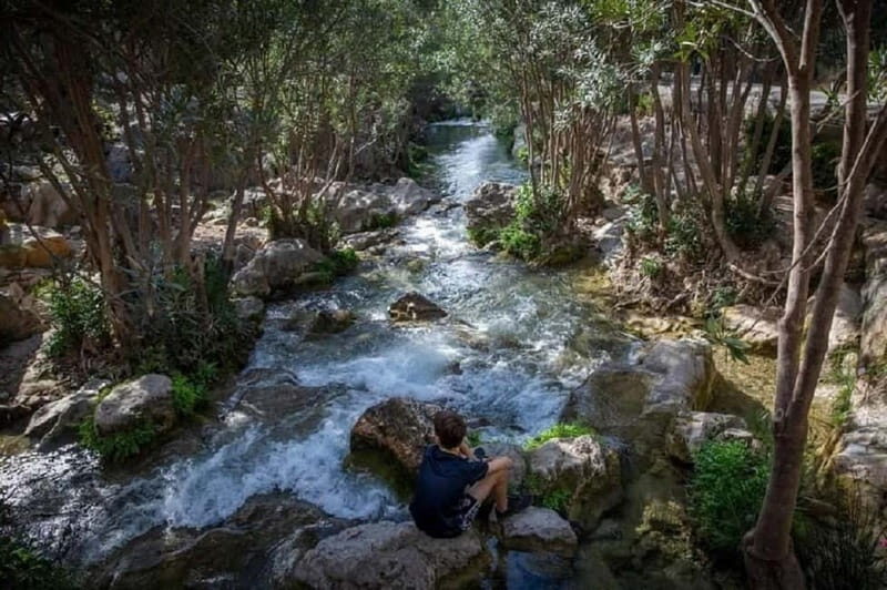 From Benidorm: Algar Waterfalls Tour with transfer - What Makes the Algar Waterfalls Special