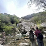 From Berat: Osumi Canyon, Bogova Waterfall, and Pirro Goshi - Final Thoughts: Is This Tour Right for You?