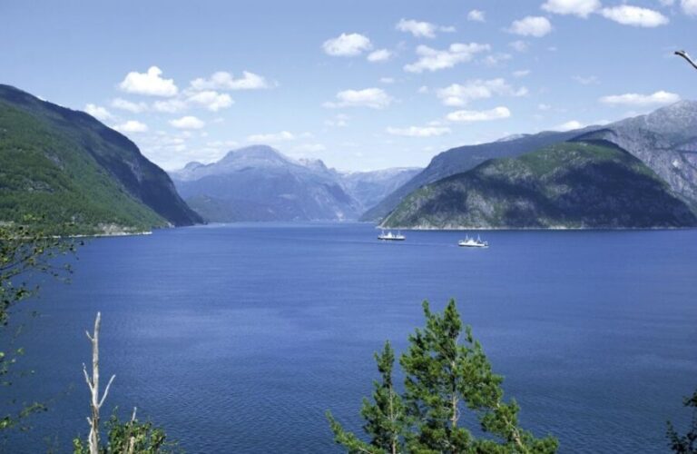 From Bergen: Private Trip to Hardangerfjord - Evaluating the Value: Is It Worth It?