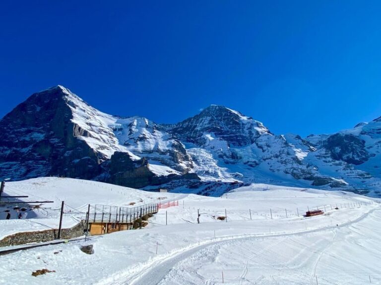 From Bern: Jungfrau's Region Discovery Private Tour - Why This Tour Offers Great Value