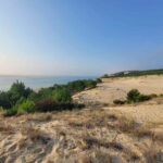 From Biarritz: Dune du Pilat and Arcachon Bay - 100% Private - How the experience shapes up